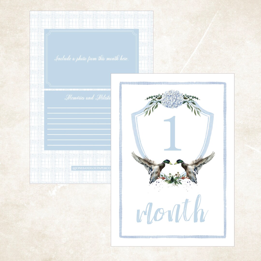 Blue Mallard Boy Baby Milestone Cards, Watercolor Baby Milestone Card ...
