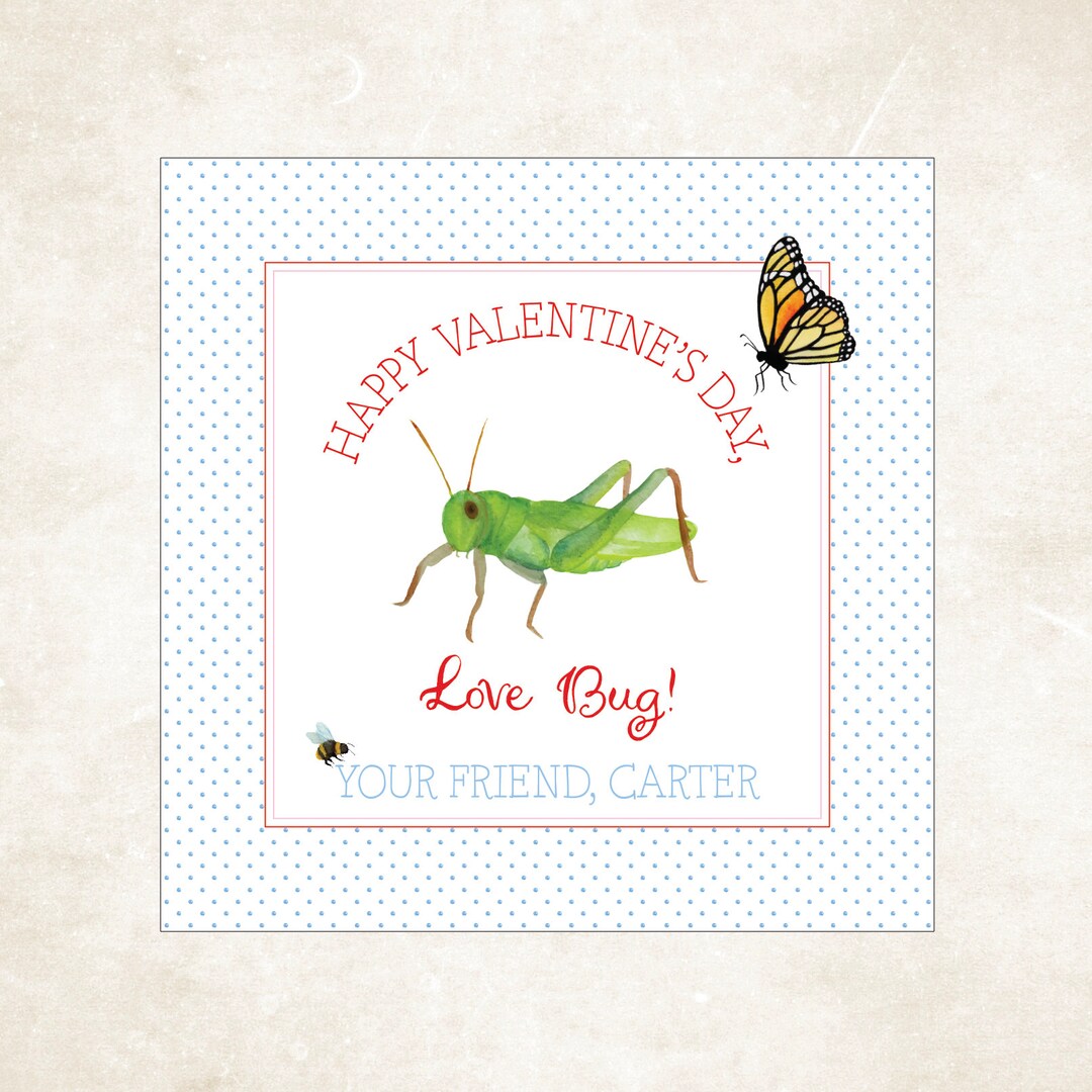 Bugs and Kisses Valentine Tags/stickers, Love Bug Tag, Personalized ...