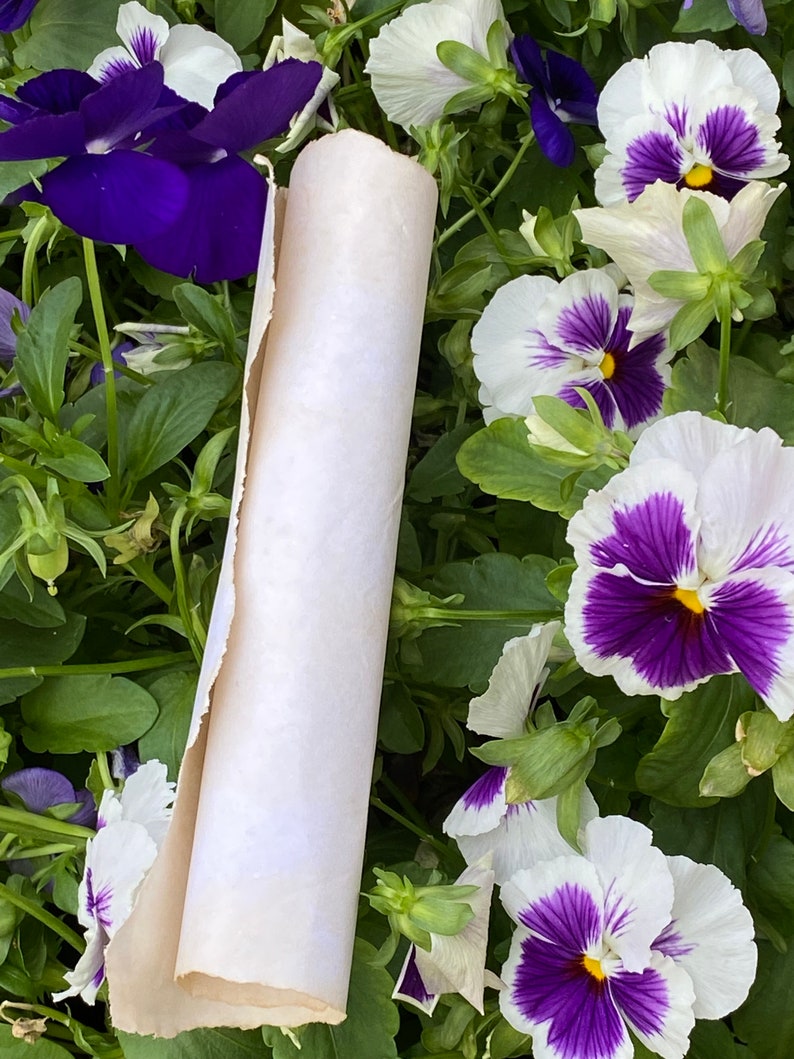 My Little Pony Scrolls in Real Life 3 Pack - Etsy