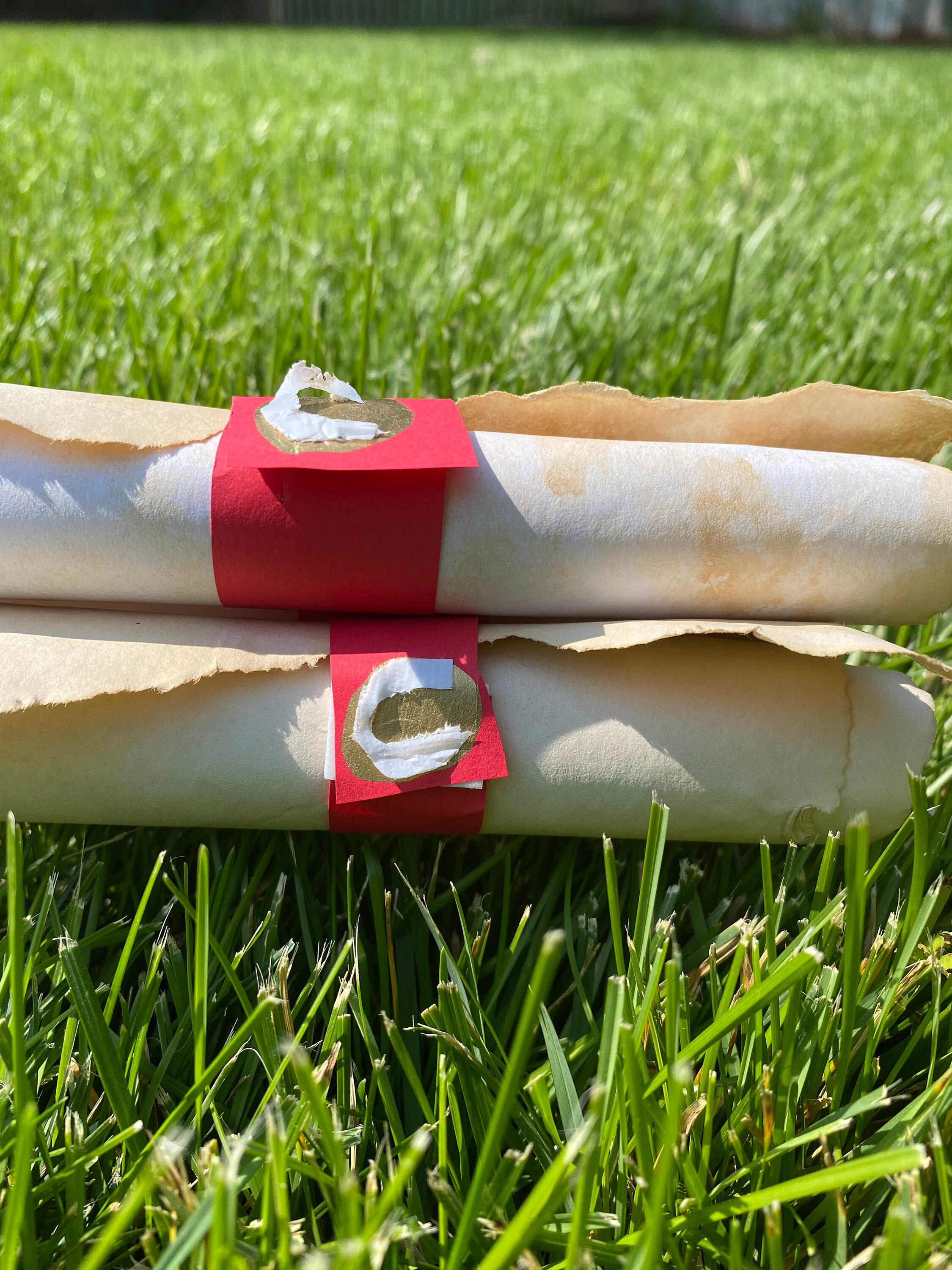 My Little Pony Scrolls in Real Life 3 Pack - Etsy