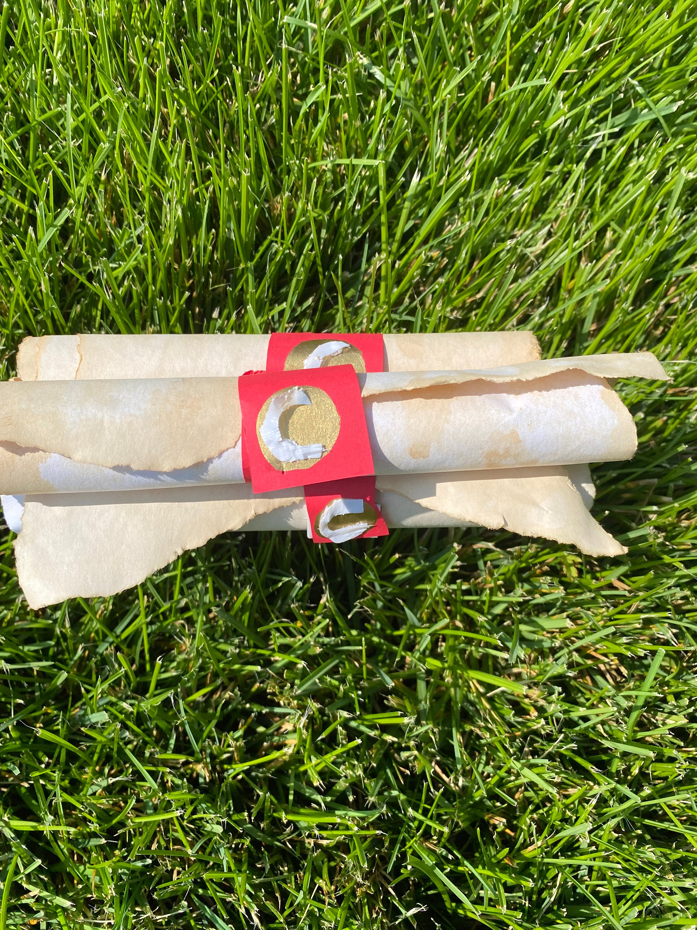 My Little Pony Scrolls in Real Life 3 Pack - Etsy