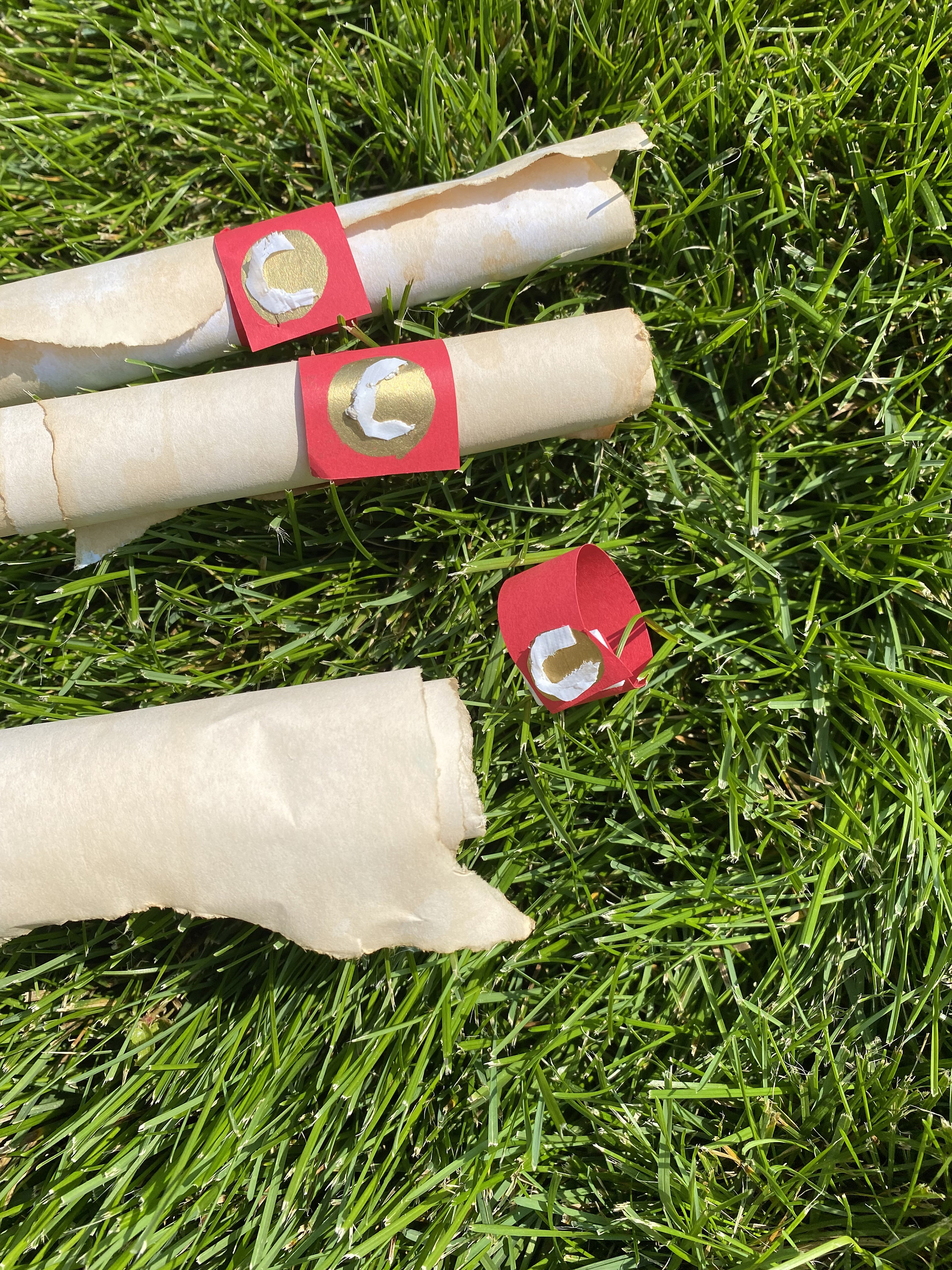 My Little Pony Scrolls in Real Life 3 Pack - Etsy