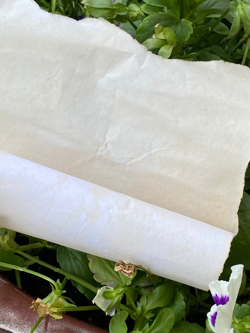 My Little Pony Scrolls in Real Life 3 Pack - Etsy