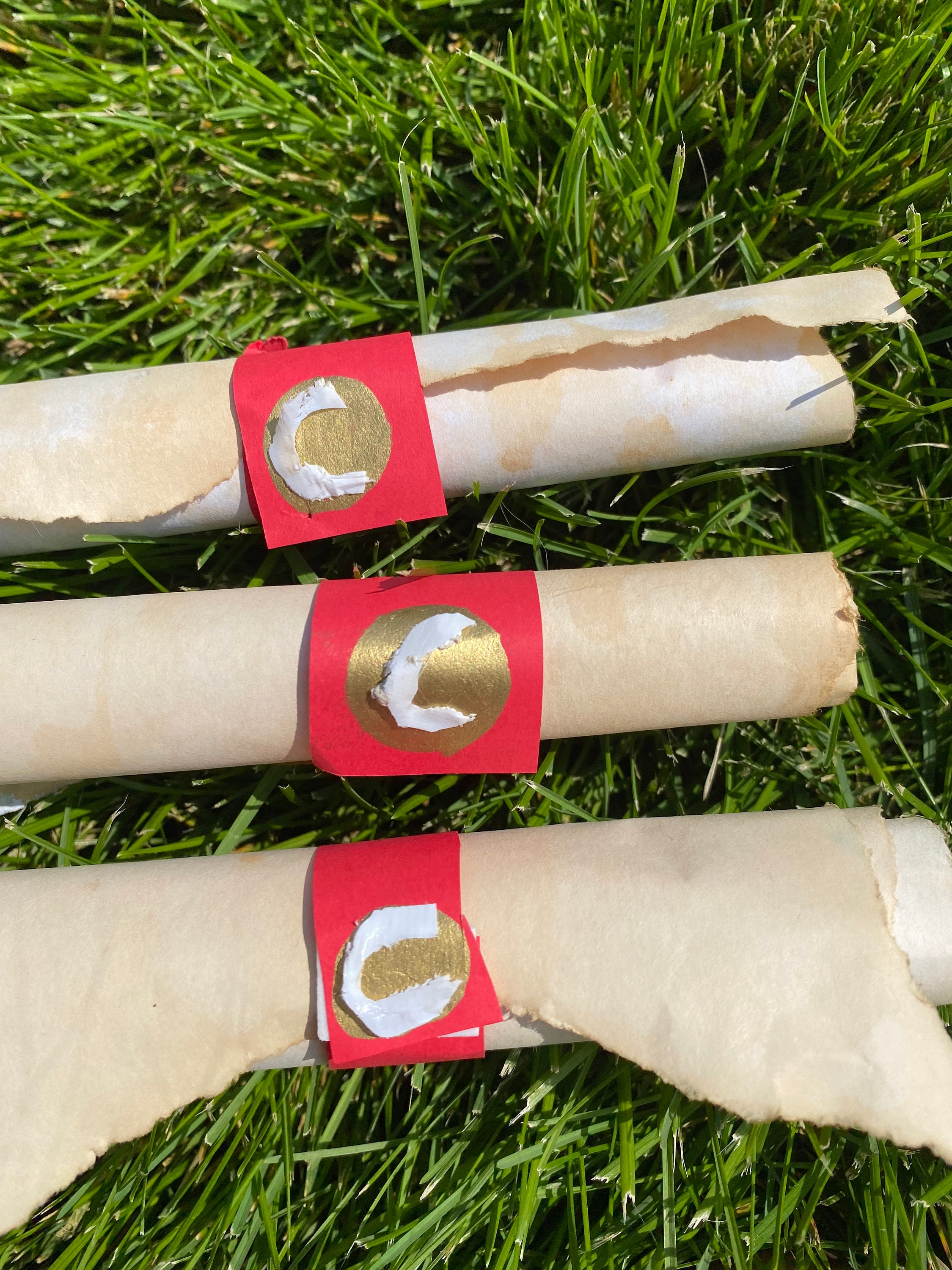 My Little Pony Scrolls in Real Life 3 Pack - Etsy