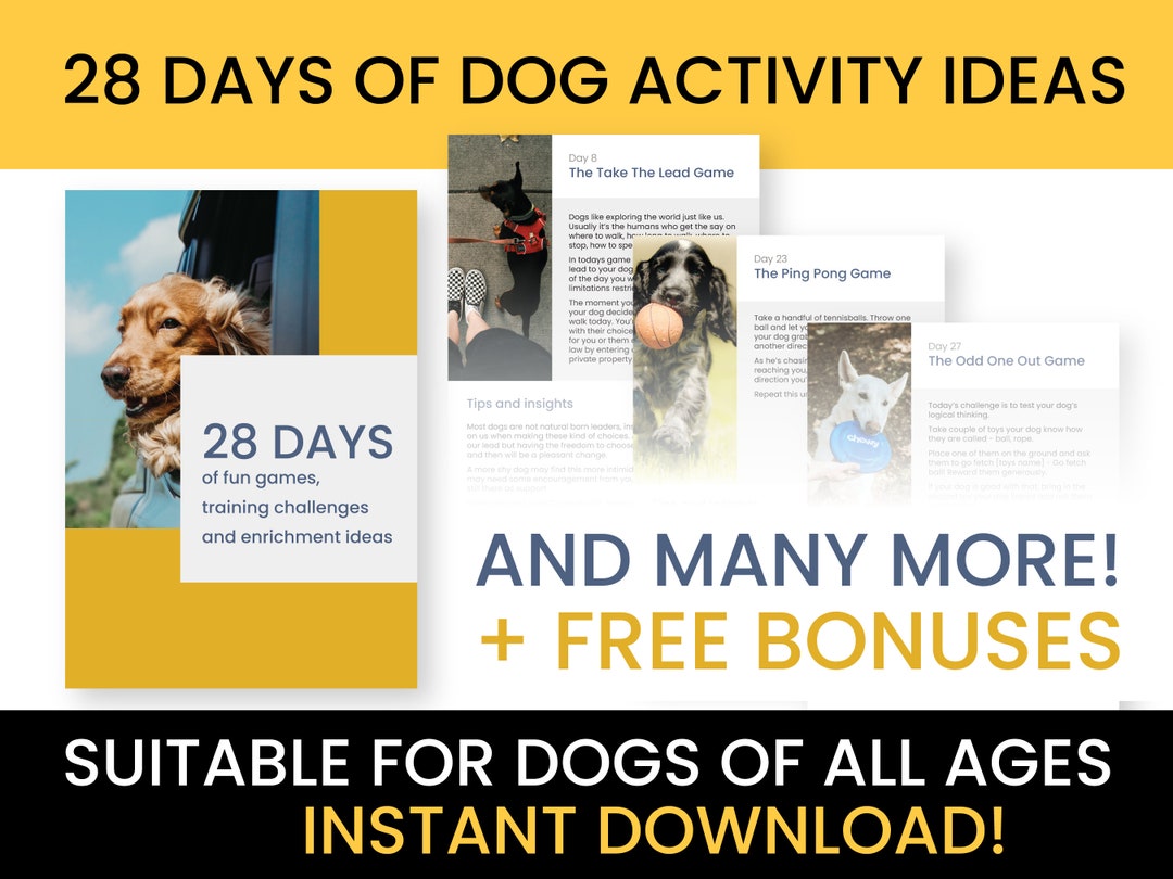 28 Days of Dog Training Games, Challenges and Enrichment Ideas - Etsy