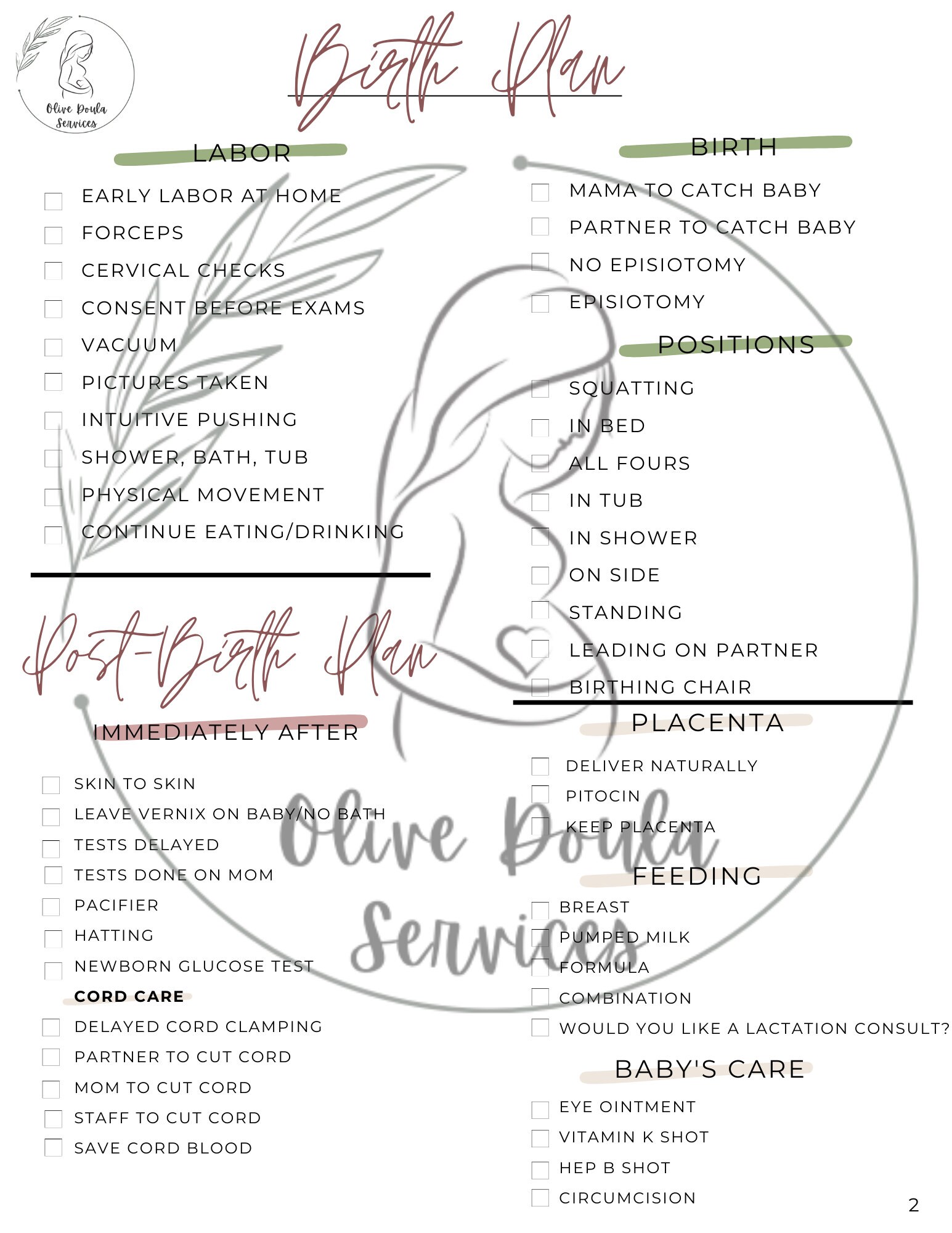 Plantilla de plan de parto digital Plan de embarazo y parto ...