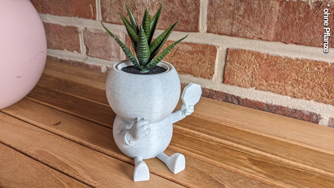 Harry Plant trainplant Funny Flower Pot as a Conductor Made in Germany - Etsy