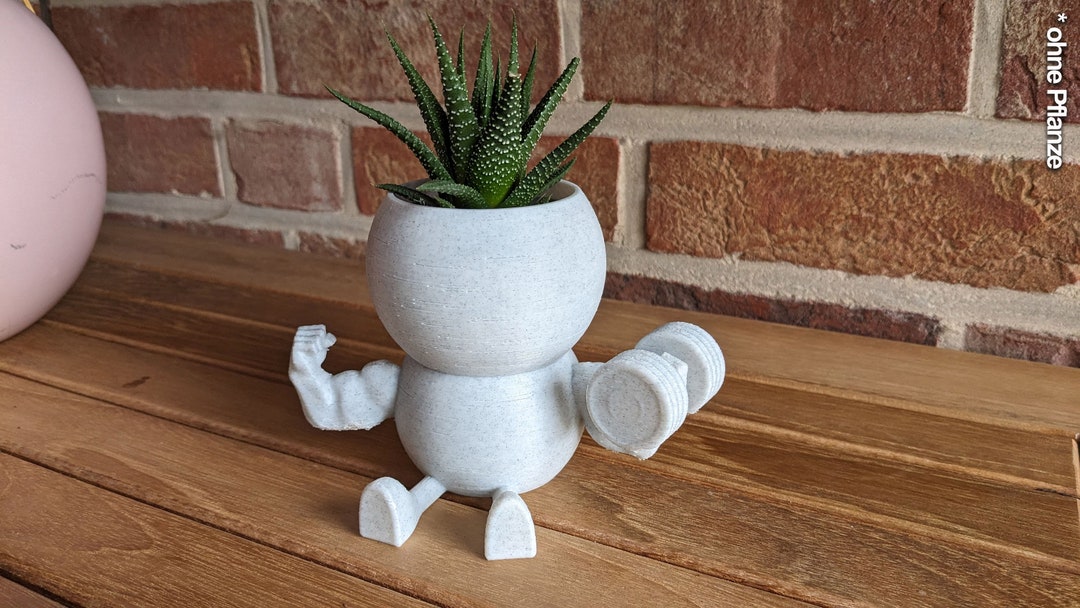 Harry Plant arniplant Funny Flower Pot With Big Muscles Made in Germany - Etsy