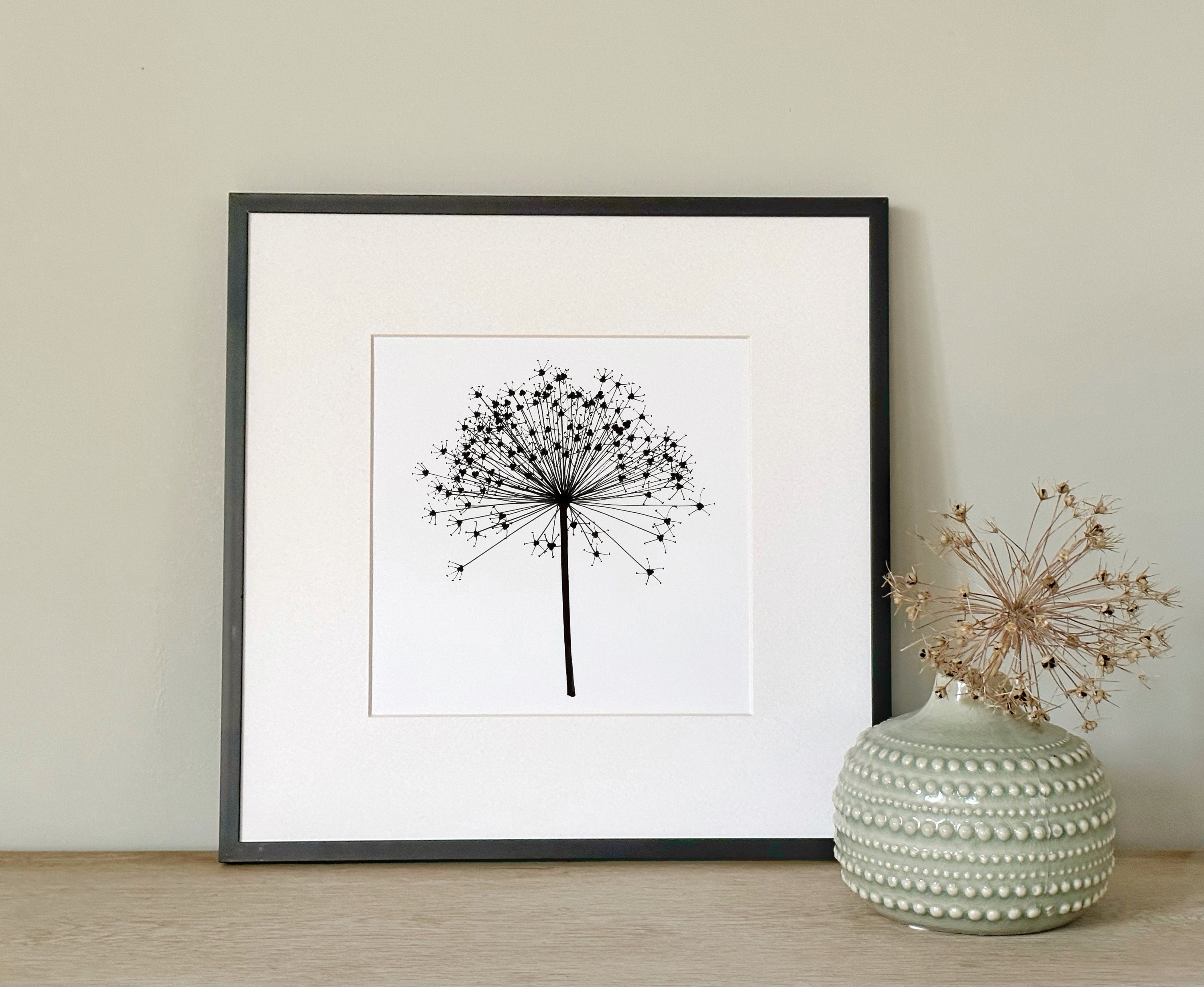 Seed Head Print - Allium Flower Wall Art, Botanical Print, Fine Line ...