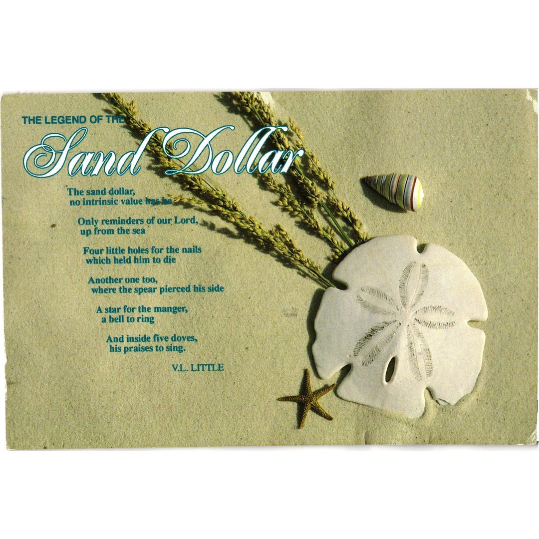 The Legend of the Sand Dollar Christian Poem Postcard Cape Cod MA Circa ...