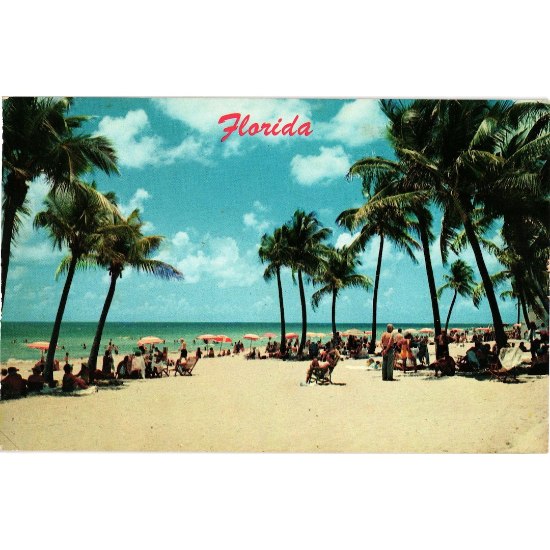 Florida 1960s Postcard Beach Scene Palm Trees & Visitors Posted Pre ...