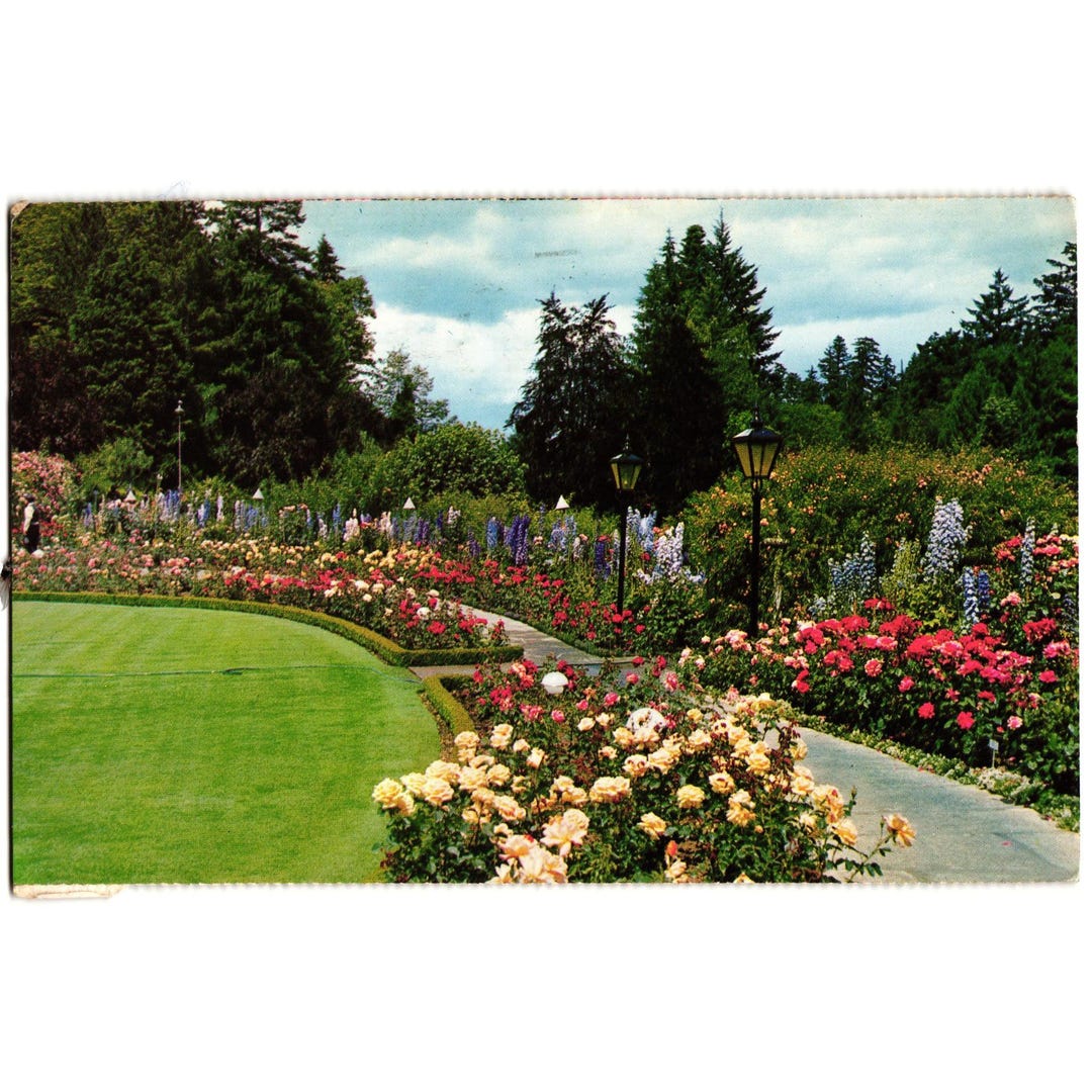 The Butchart Gardens Rose Garden Victoria B.C. Canada Postcard Color ...