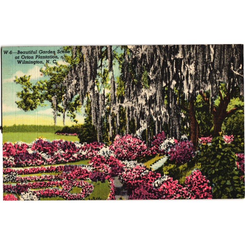Beautiful Garden Scene Orton Plantation Wilmington N.C. 1940s Postcard ...