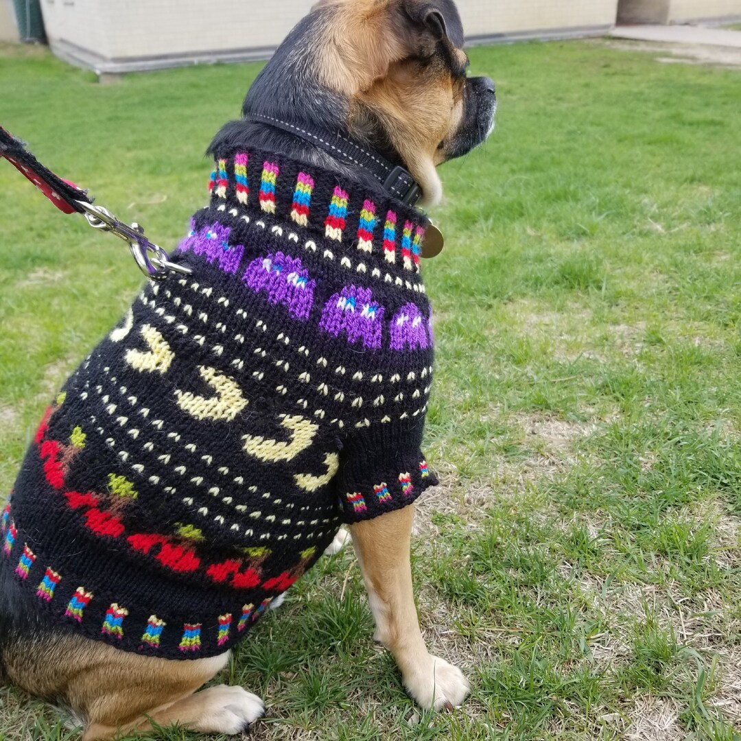 Arcade Nights Dog Sweater Knitting Pattern - Etsy