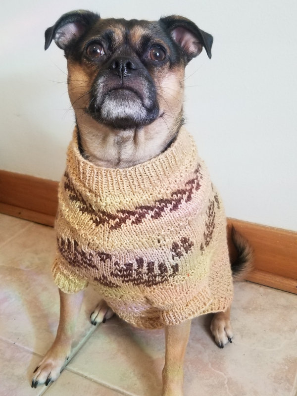 Fair Isle Dog Sweater Knitting Pattern - Knit Dog Sweater Pattern - Dog ...