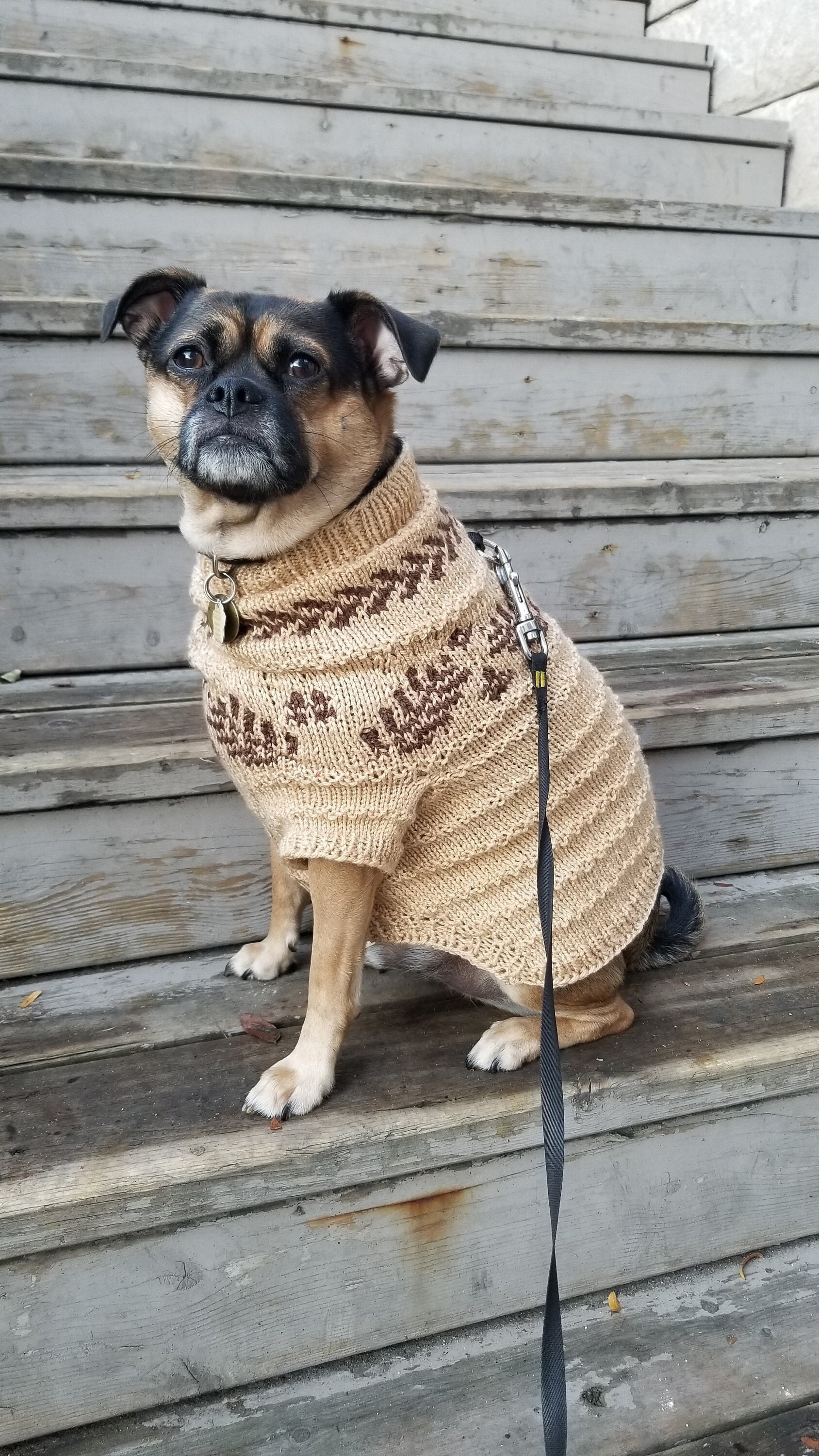 Fair Isle Dog Sweater Knitting Pattern - Knit Dog Sweater Pattern - Dog ...
