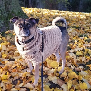 Fair Isle Dog Sweater Knitting Pattern - Knit Dog Sweater Pattern - Dog ...