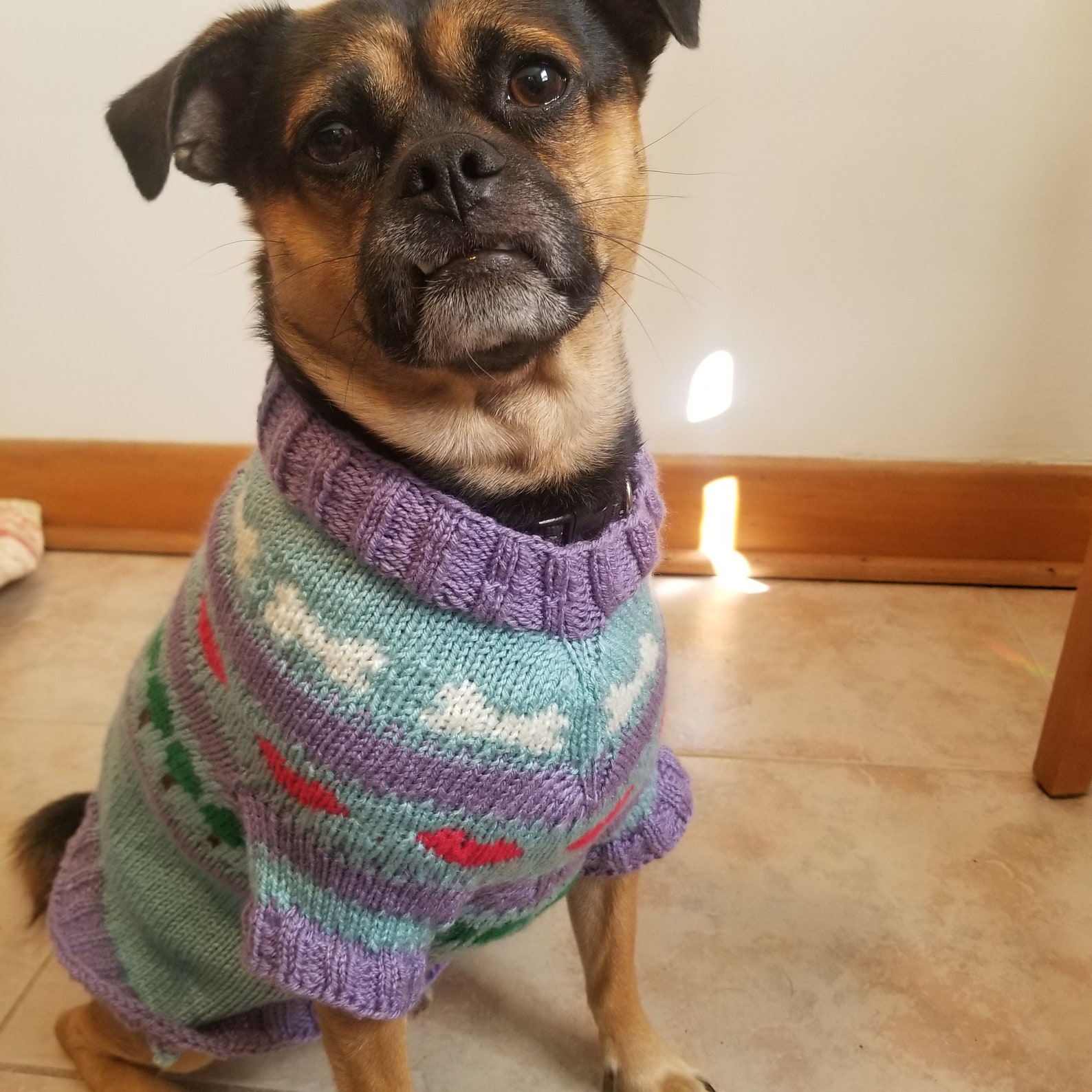 Colorwork Dog Sweater Knitting Pattern - My Favourite Things - Etsy