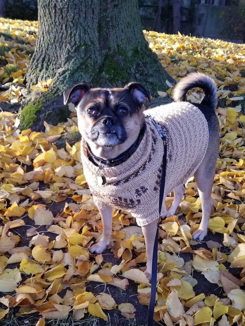 Fair Isle Dog Sweater Knitting Pattern - Knit Dog Sweater Pattern - Dog ...