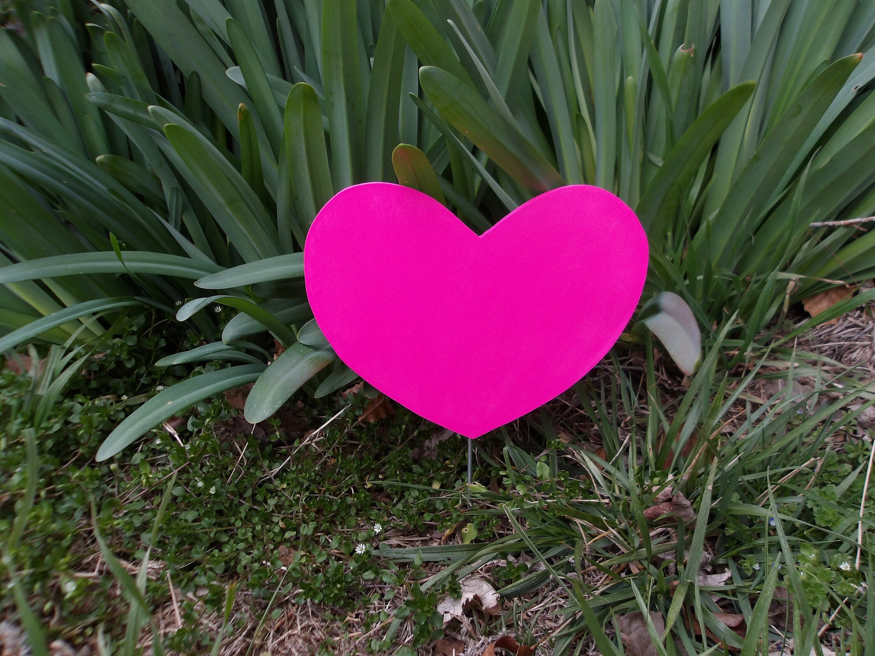 Heart Garden Stakes Colorful Yard Art - Etsy