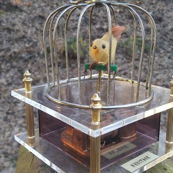 Bird Music Box - Etsy