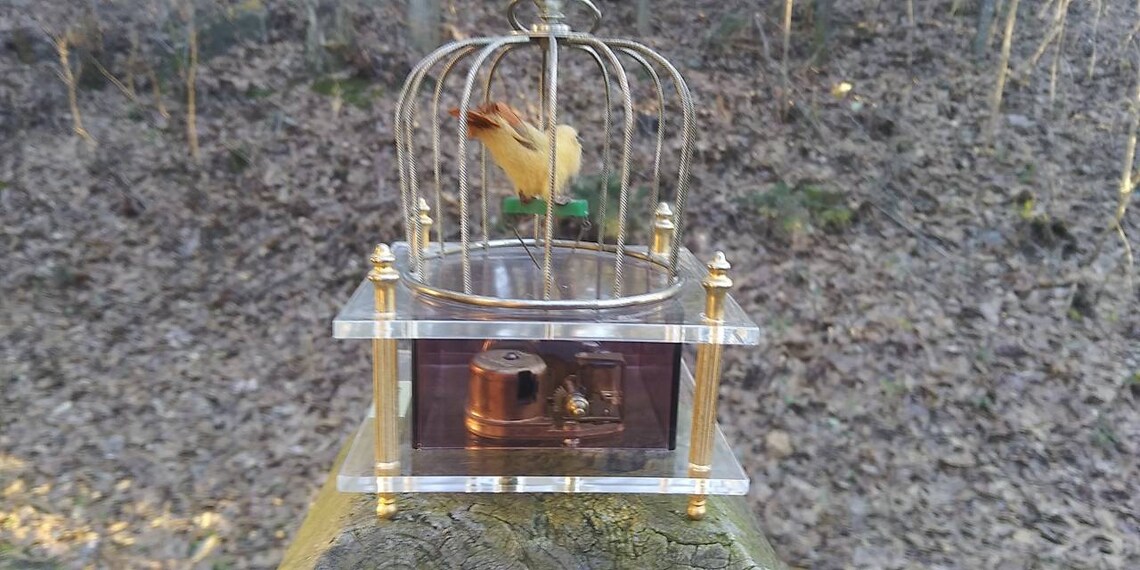Automaton Music Box Vintage Bird in Cage 1970s Brass Lucite Music Box ...