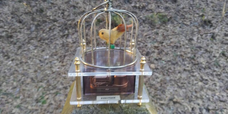Automaton Music Box Vintage Bird in Cage 1970s Brass Lucite Music Box ...