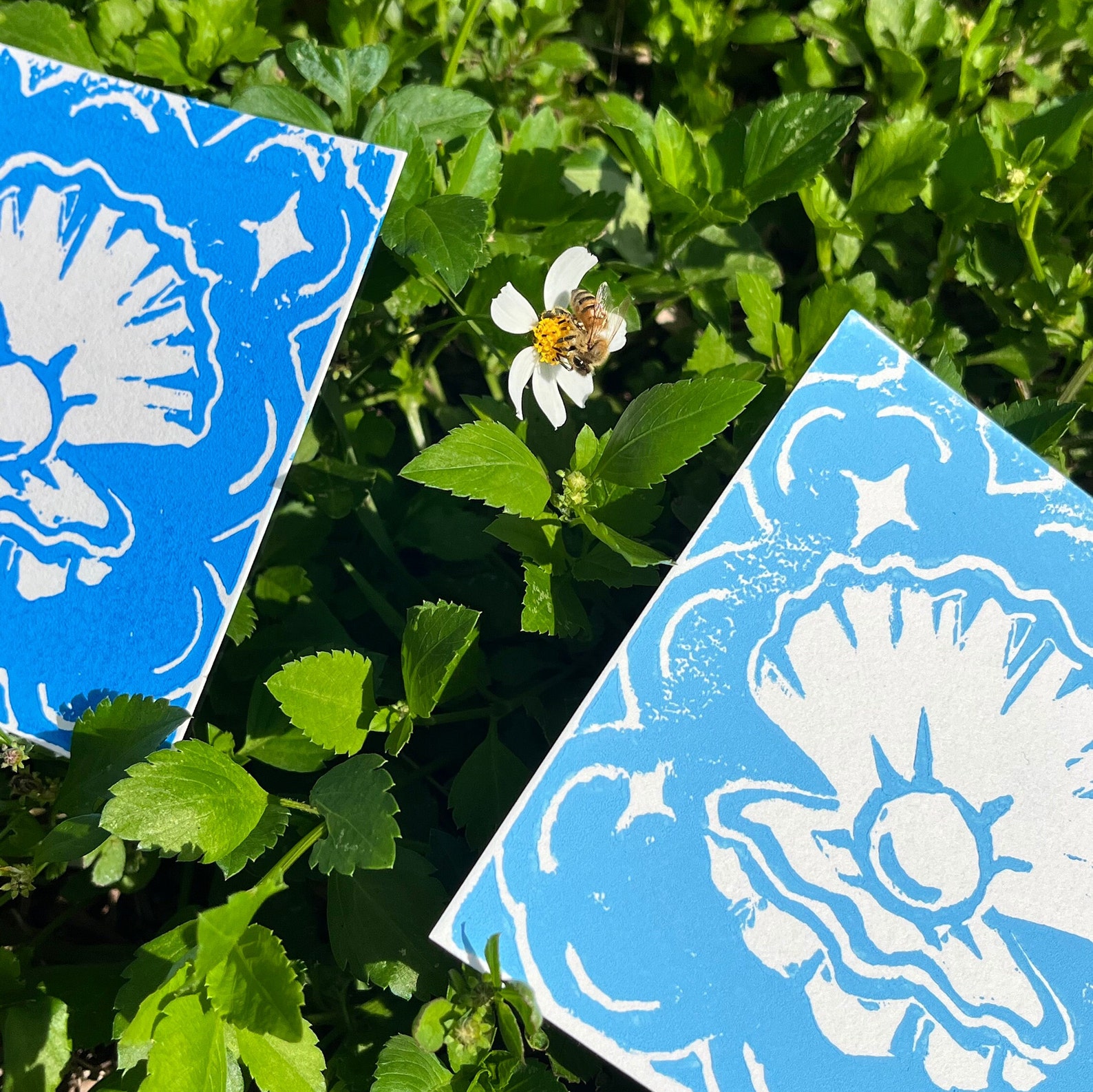 Handprinted Linoleum Print, Oyster Shell Ocean Print 4x4in - Etsy