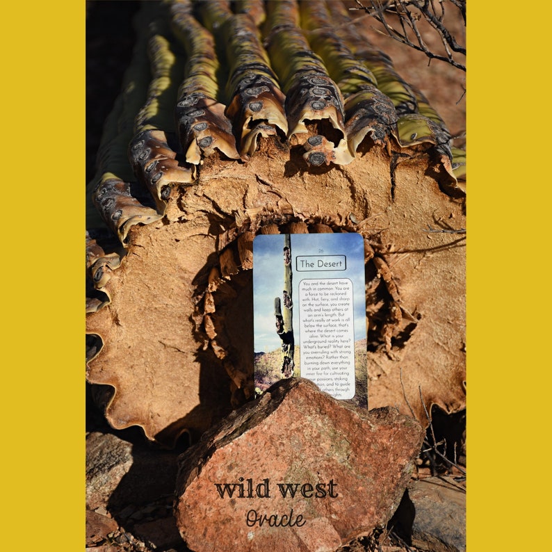 The Ladder, 110-card Oracle Deck With Written Messages for Mental ...