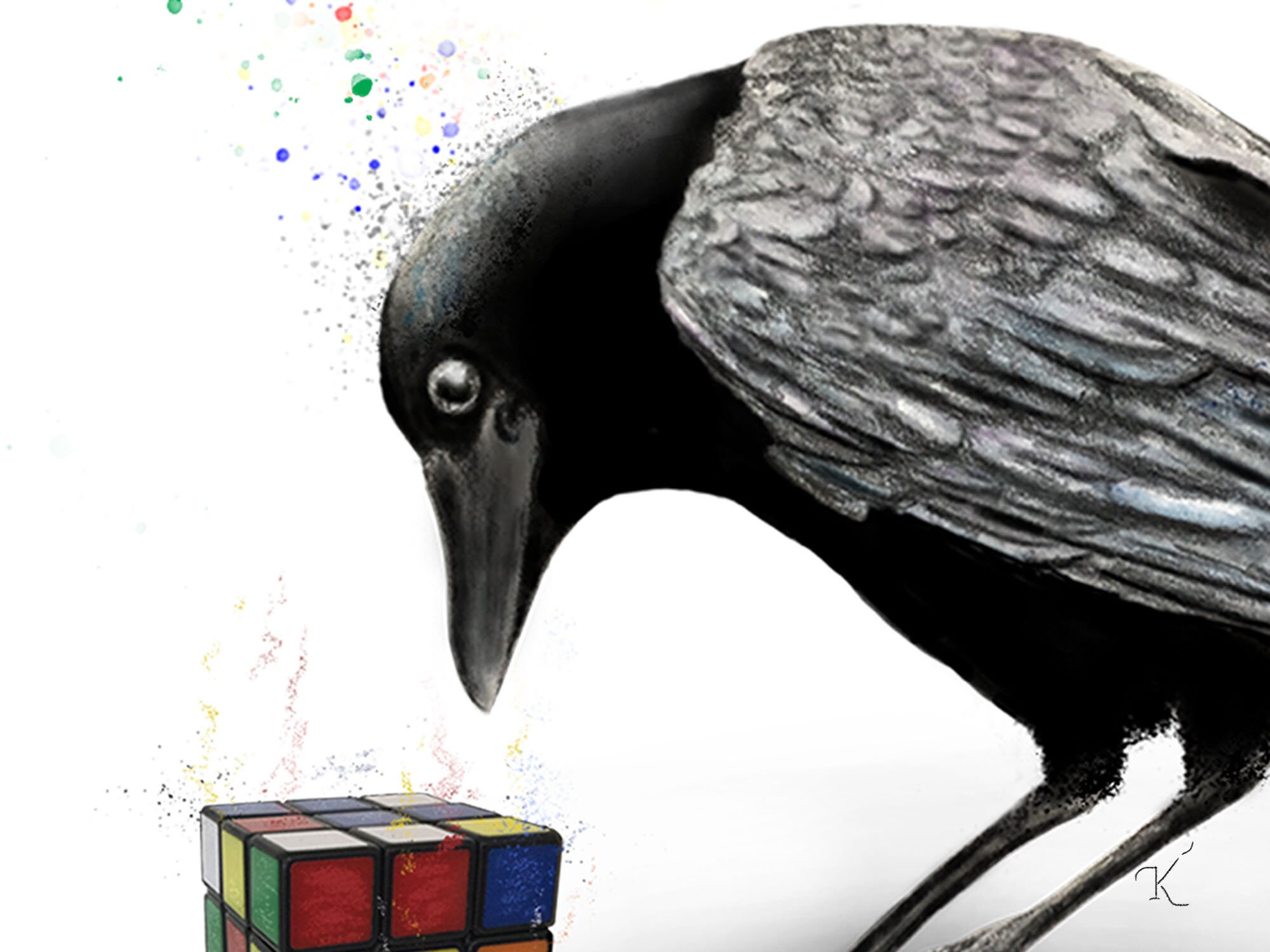 Crow and Rubik's Cube - Etsy