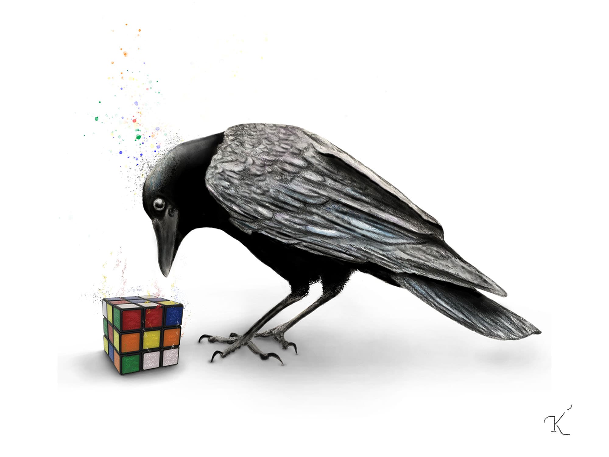 Crow and Rubik's Cube - Etsy