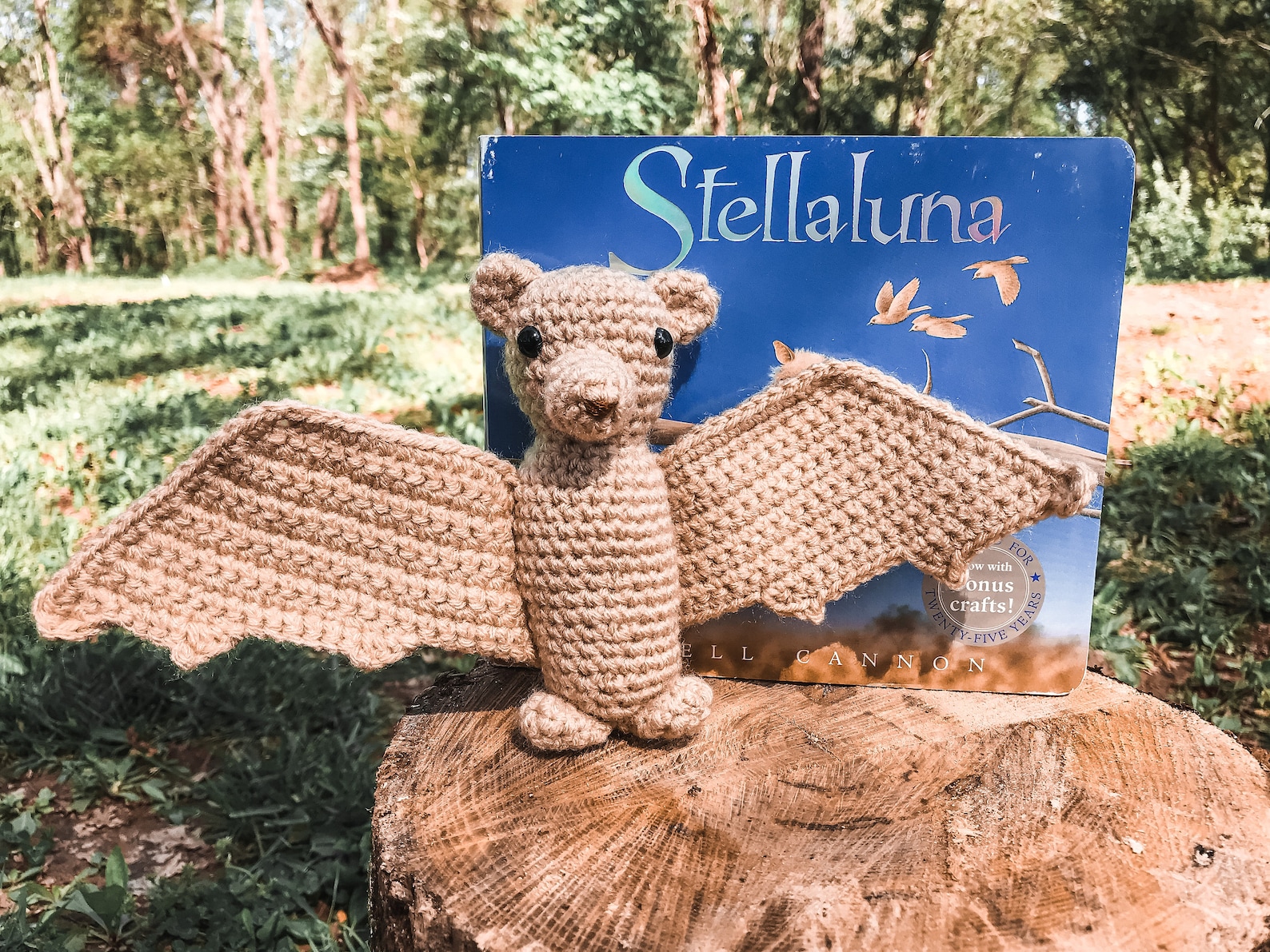 Stellaluna Literature Companion - Etsy