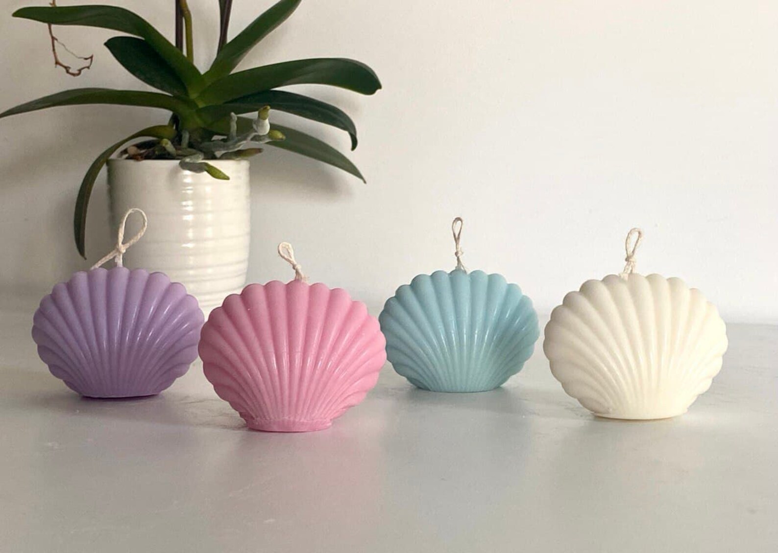 Sea Shell Candle Shell Soy Wax Candles Gift Candle Handmade - Etsy