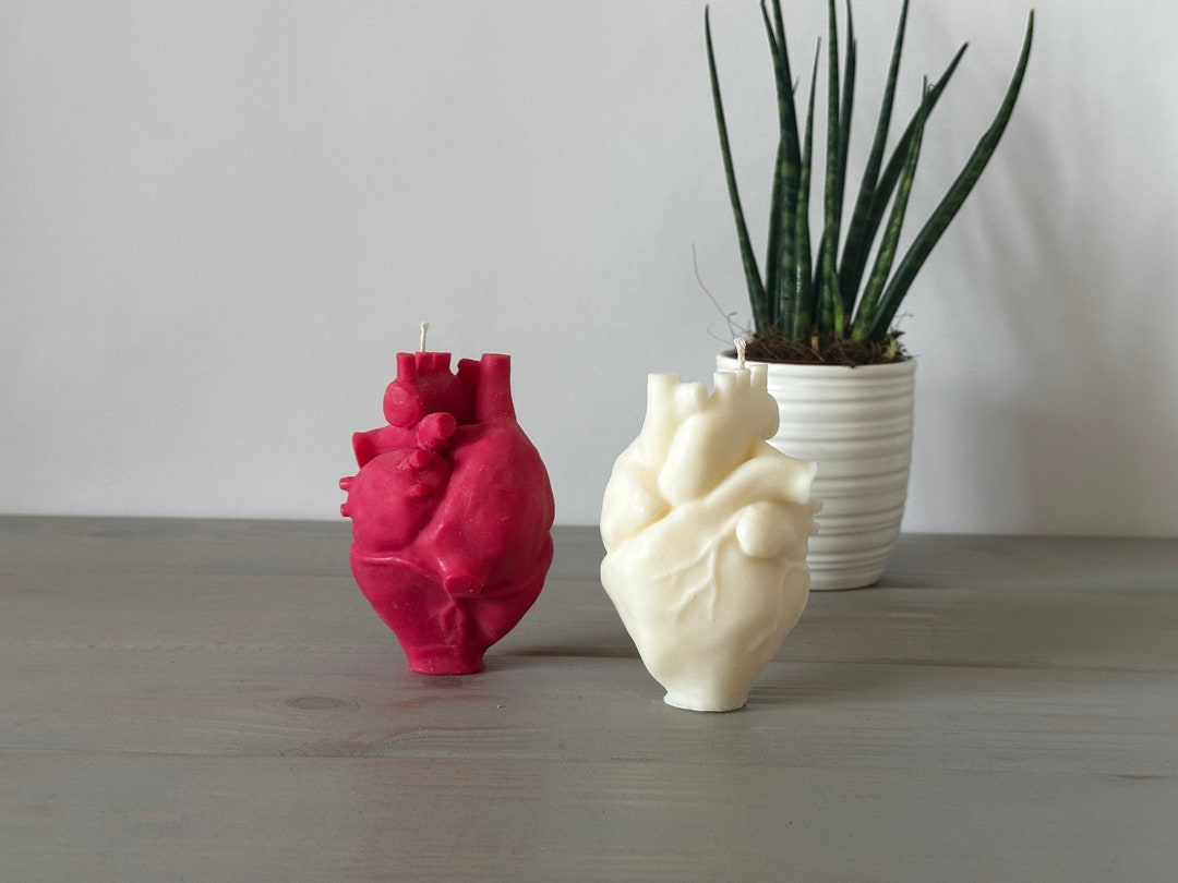 Anatomical Heart Shaped Candle, Heart Candle, Human Heart Organ, Love ...