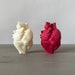 Anatomical Heart Shaped Candle, Heart Candle, Human Heart Organ, Love ...
