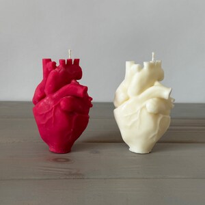 Anatomical Heart Shaped Candle, Heart Candle, Human Heart Organ, Love ...