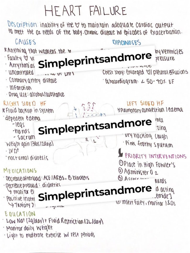 Left Vs Right Heart Failure Nursing Notes - Etsy