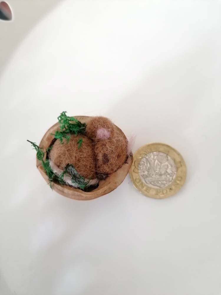 Felted Sleeping Mouse in a Walnut Shell. Needlefelted. - Etsy UK