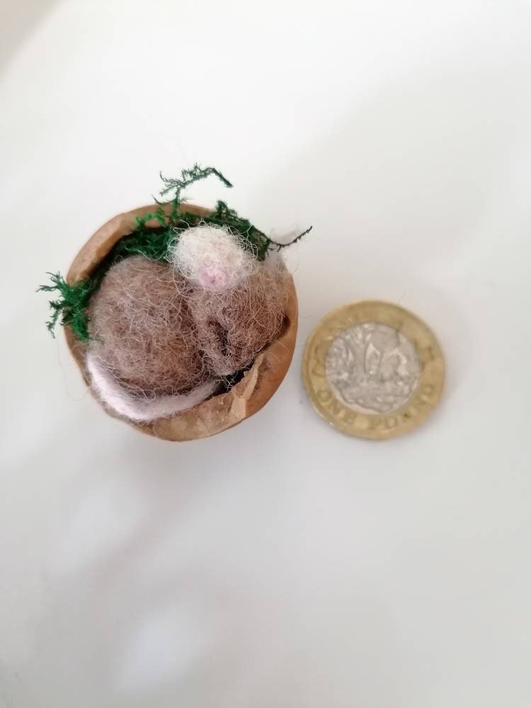 Felted Sleeping Mouse in a Walnut Shell. Needlefelted. - Etsy UK