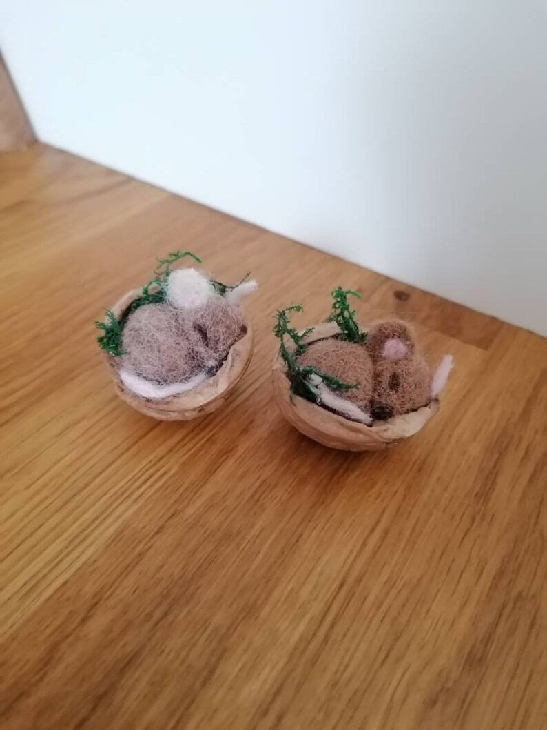 Felted Sleeping Mouse in a Walnut Shell. Needlefelted. - Etsy UK