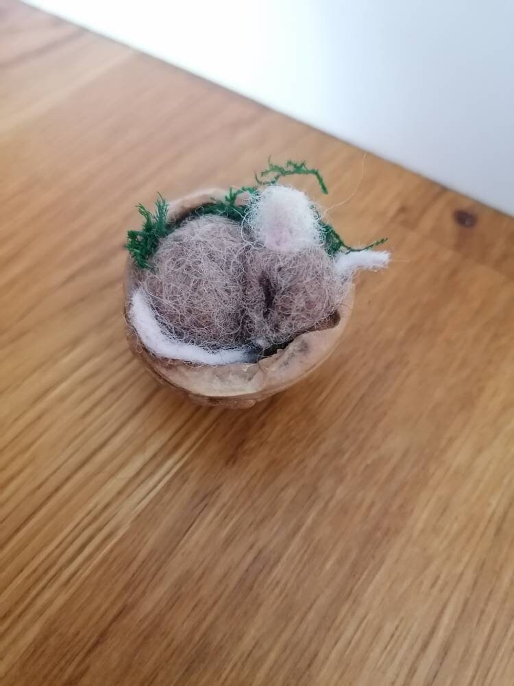 Felted Sleeping Mouse in a Walnut Shell. Needlefelted. - Etsy UK