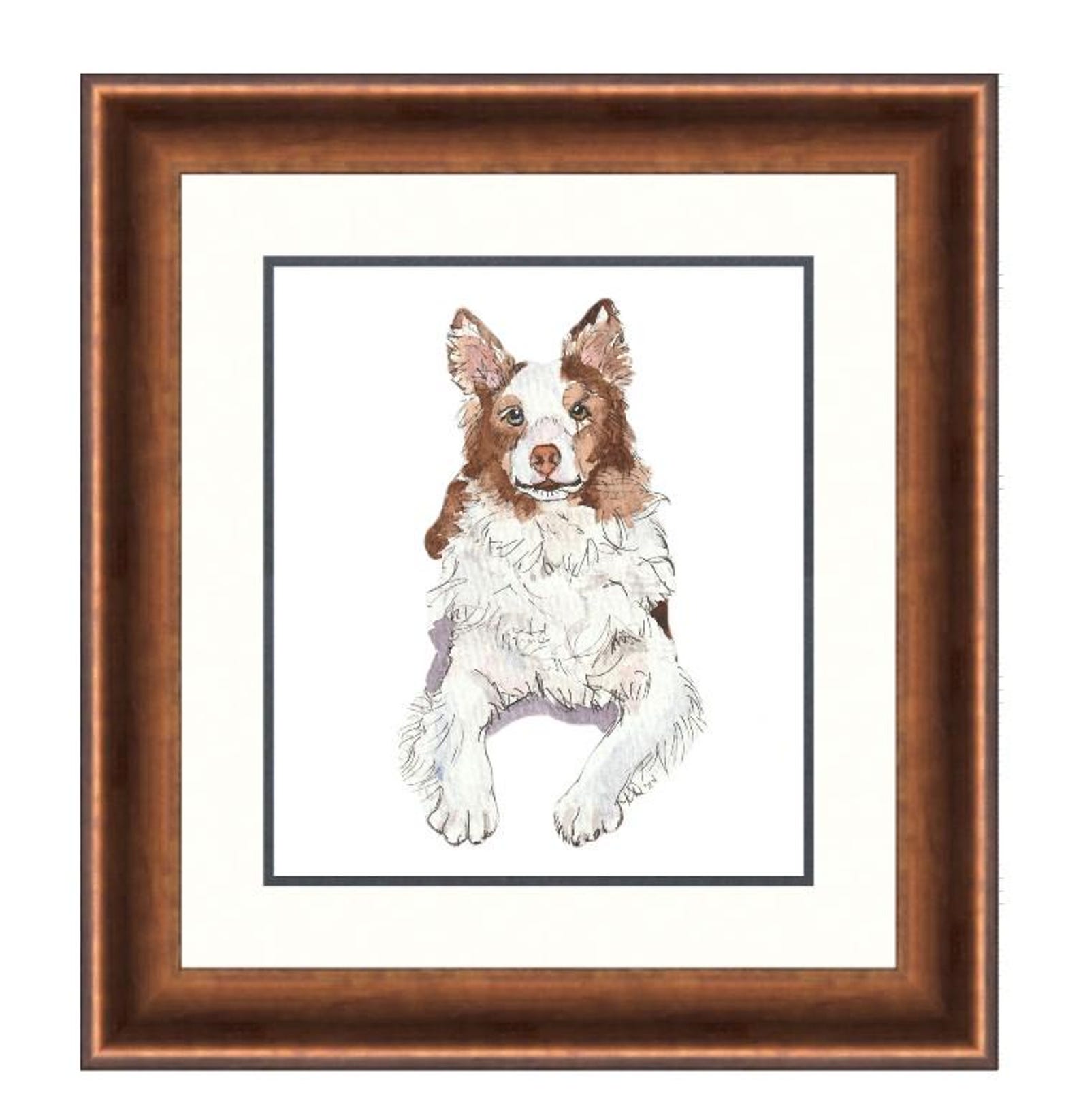 Red Merle Australian Shepherd Watercolor Print – Instant Download - Etsy