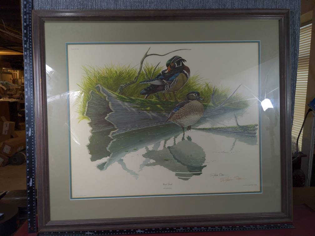Richard Sloan Lithograph wood Duck - Etsy