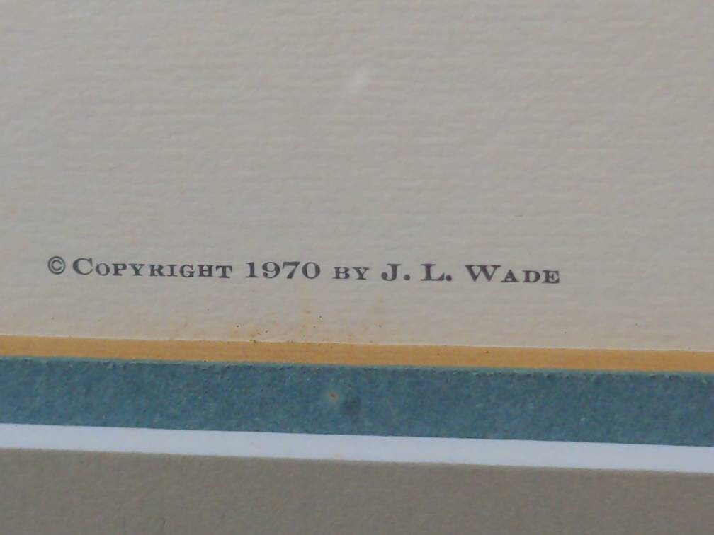 Richard Sloan Lithograph wood Duck - Etsy