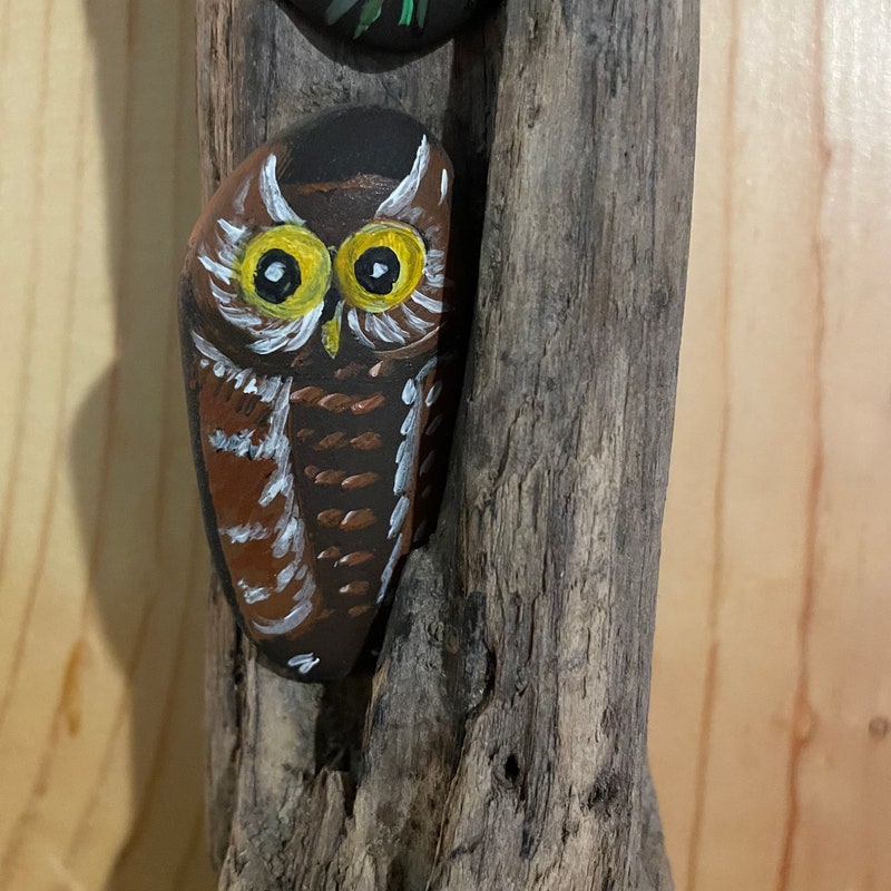Painted Owl Rocks - Etsy