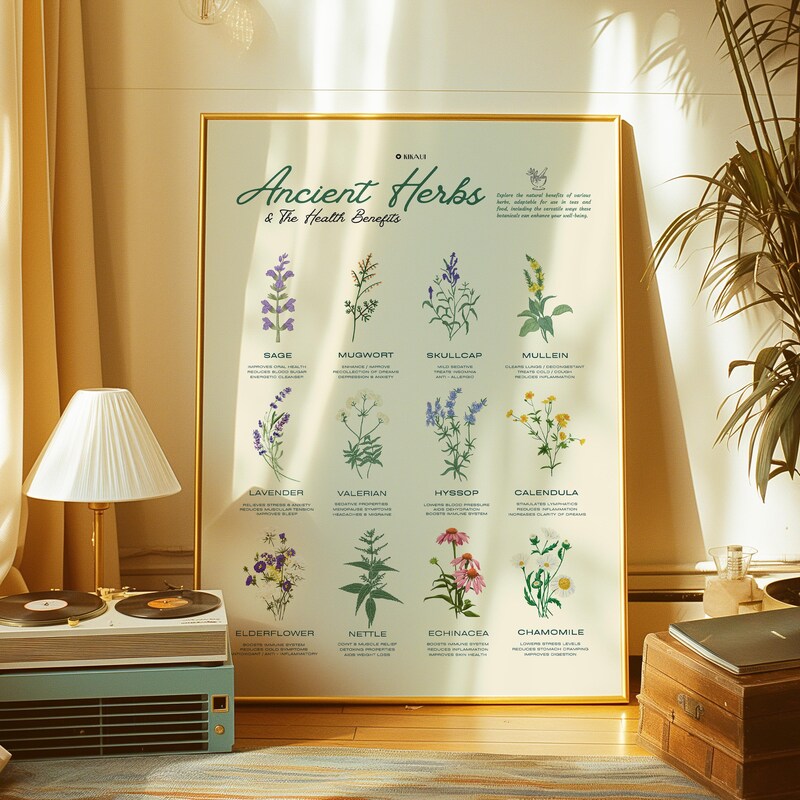 Herb Poster - Etsy