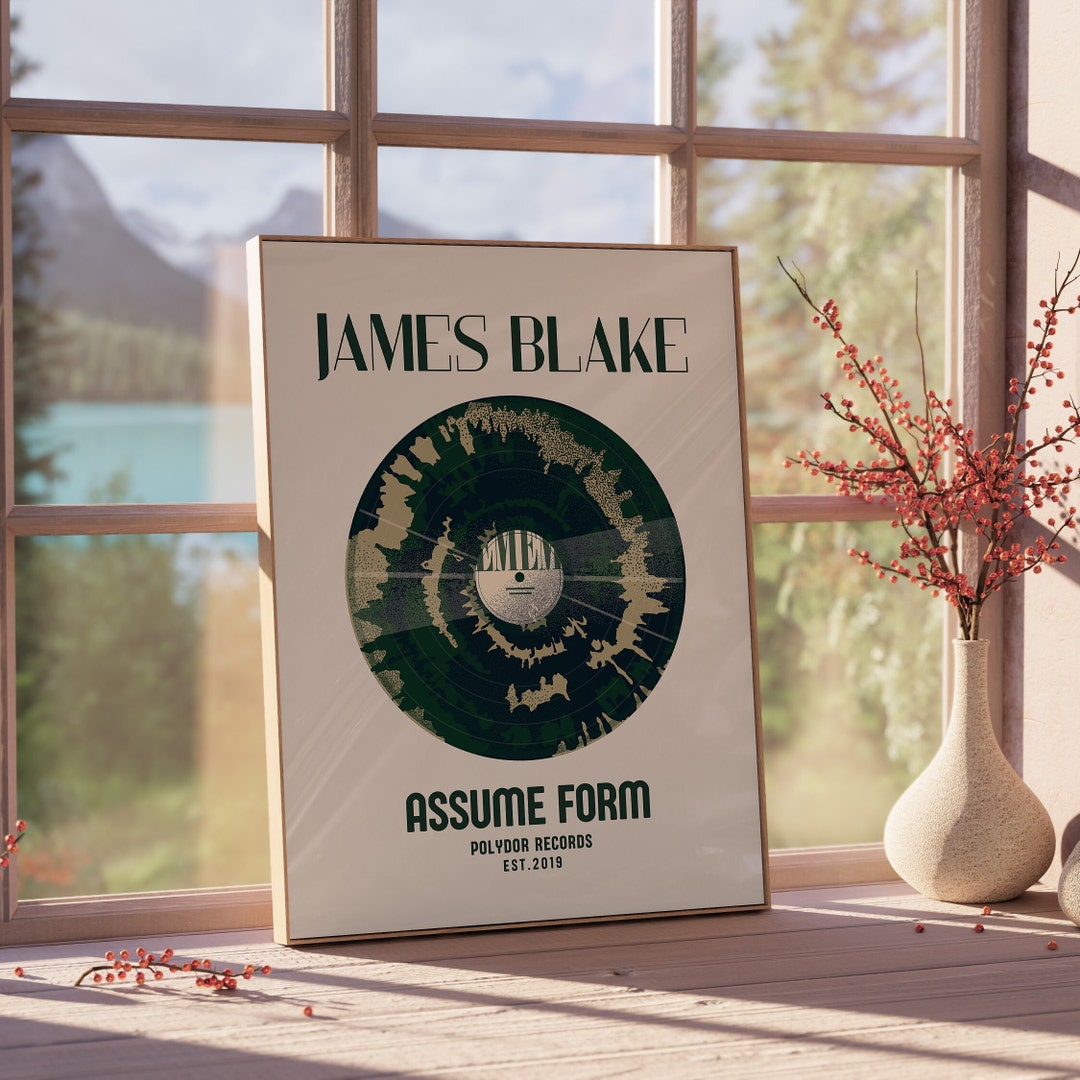 A3 James Blake Assume Form Album Vinyl Poster Print Record Etsy