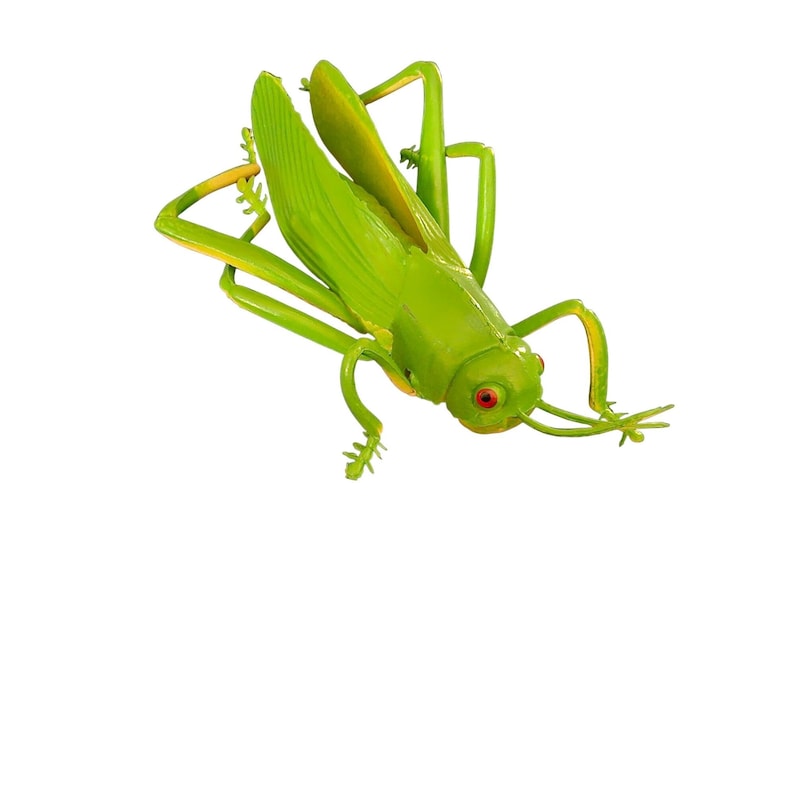 Large Realistic Plastic Rubber Green Yellow Grasshopper Insect Toy 9 ...