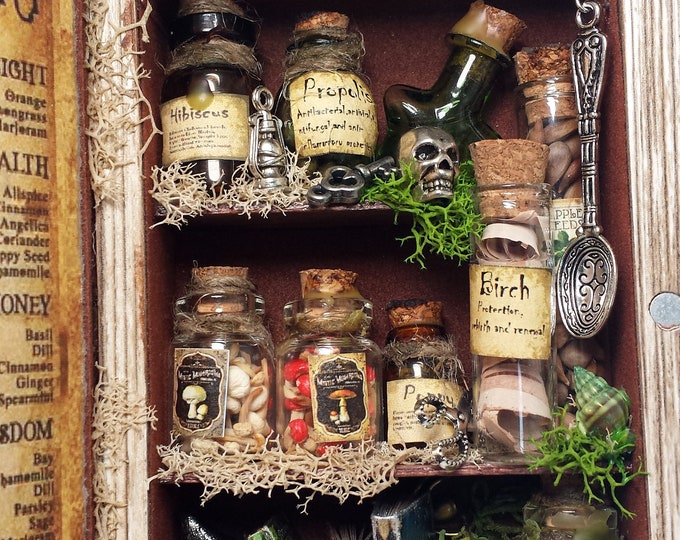 Kitchen Witch Mystery Box, Witchcraft Herbs & Botanical for Spells ...