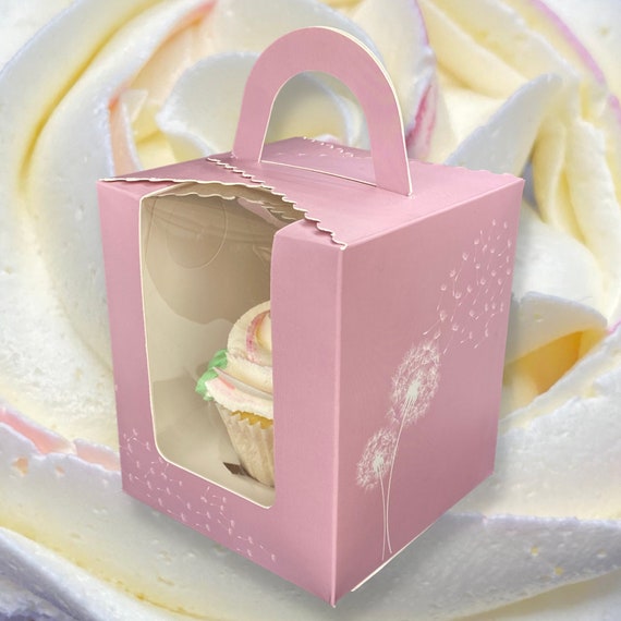 Individual Cake Boxes